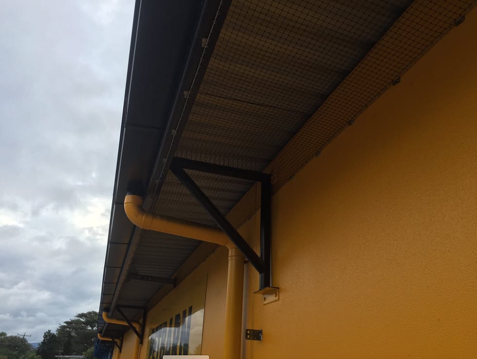 Bird Proofing | SR Pest Control Cairns